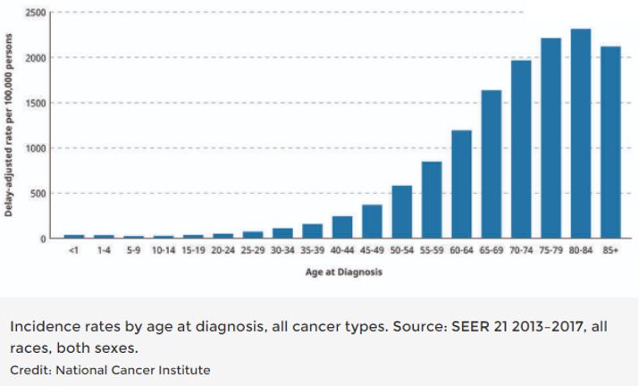 Age and Cancer Risk. - AM Pharma